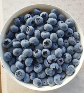 IQ Berries – Osiris Plant Management